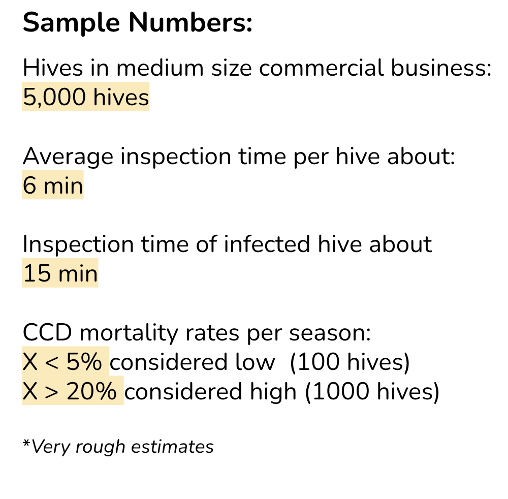 Bees CCD AI - Ruth Shacterman